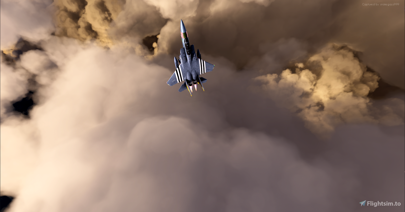 Microsoft Flight Simulator Mods, Liveries & Add-Ons | Flightsim.to